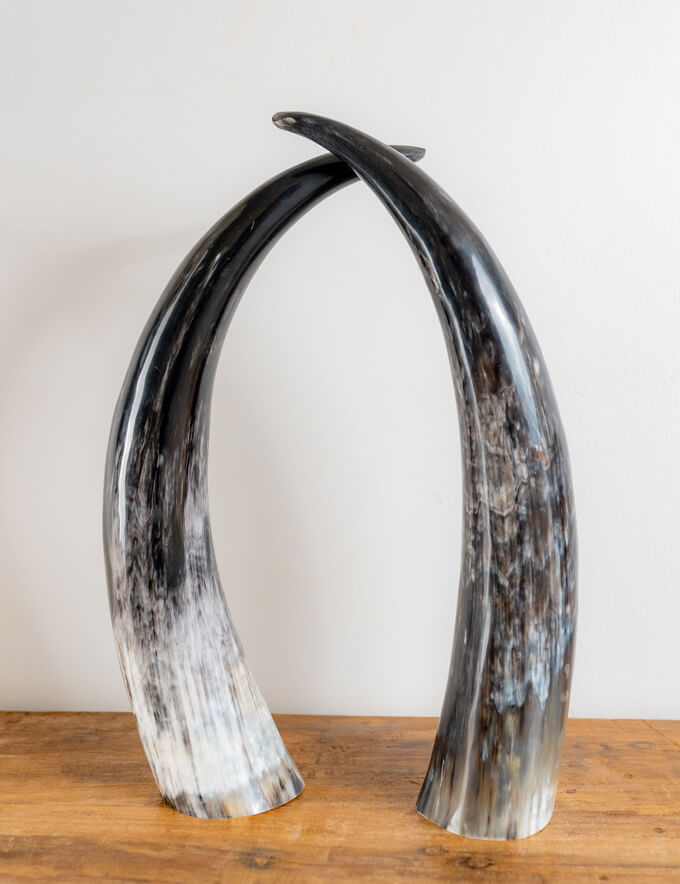 Horn- M - Afrotide Crafts